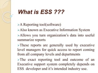 Executive Support System (ESS) | PPTX