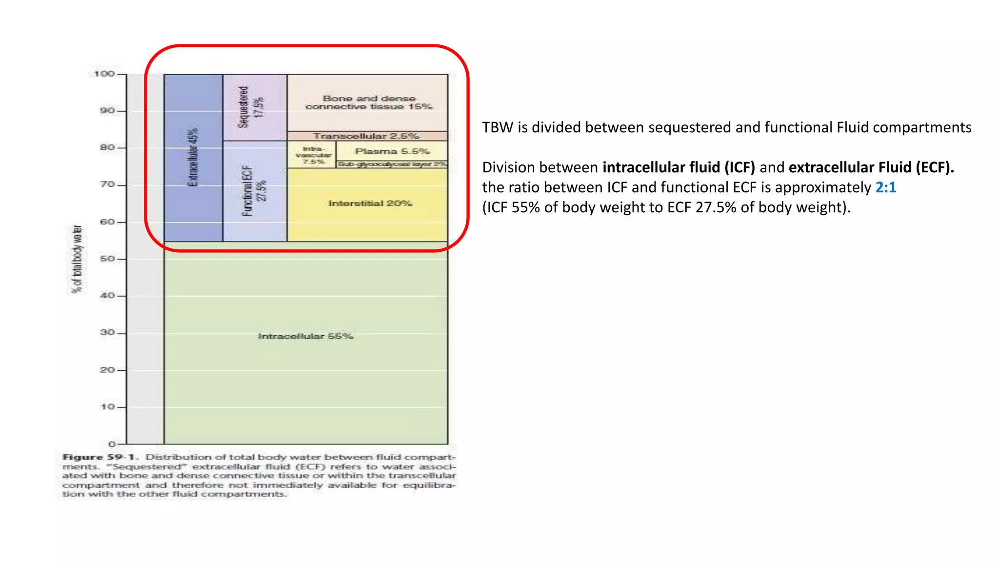 IV FLUIDS PART1 | PPT
