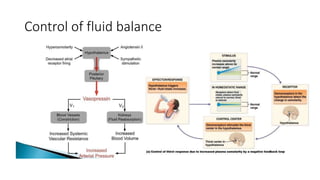 IV FLUIDS PART1 | PPTX