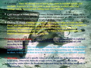 handling of seafood | PPT
