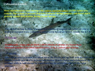 handling of seafood | PPT