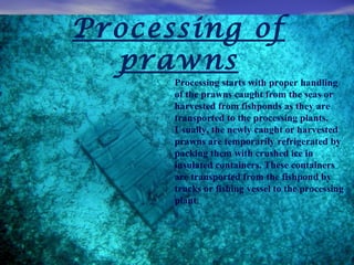handling of seafood | PPT