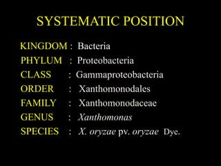 Arunkumar m pathology presentation | PPTX