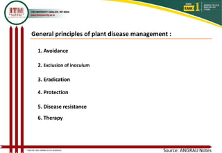 PLANT DISEASE MANAGEMENT PRINCIPLES AND ITS IMPORTANCE | PPTX