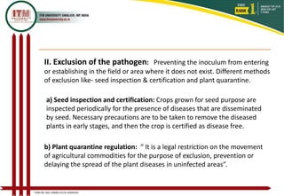 PLANT DISEASE MANAGEMENT PRINCIPLES AND ITS IMPORTANCE | PPTX