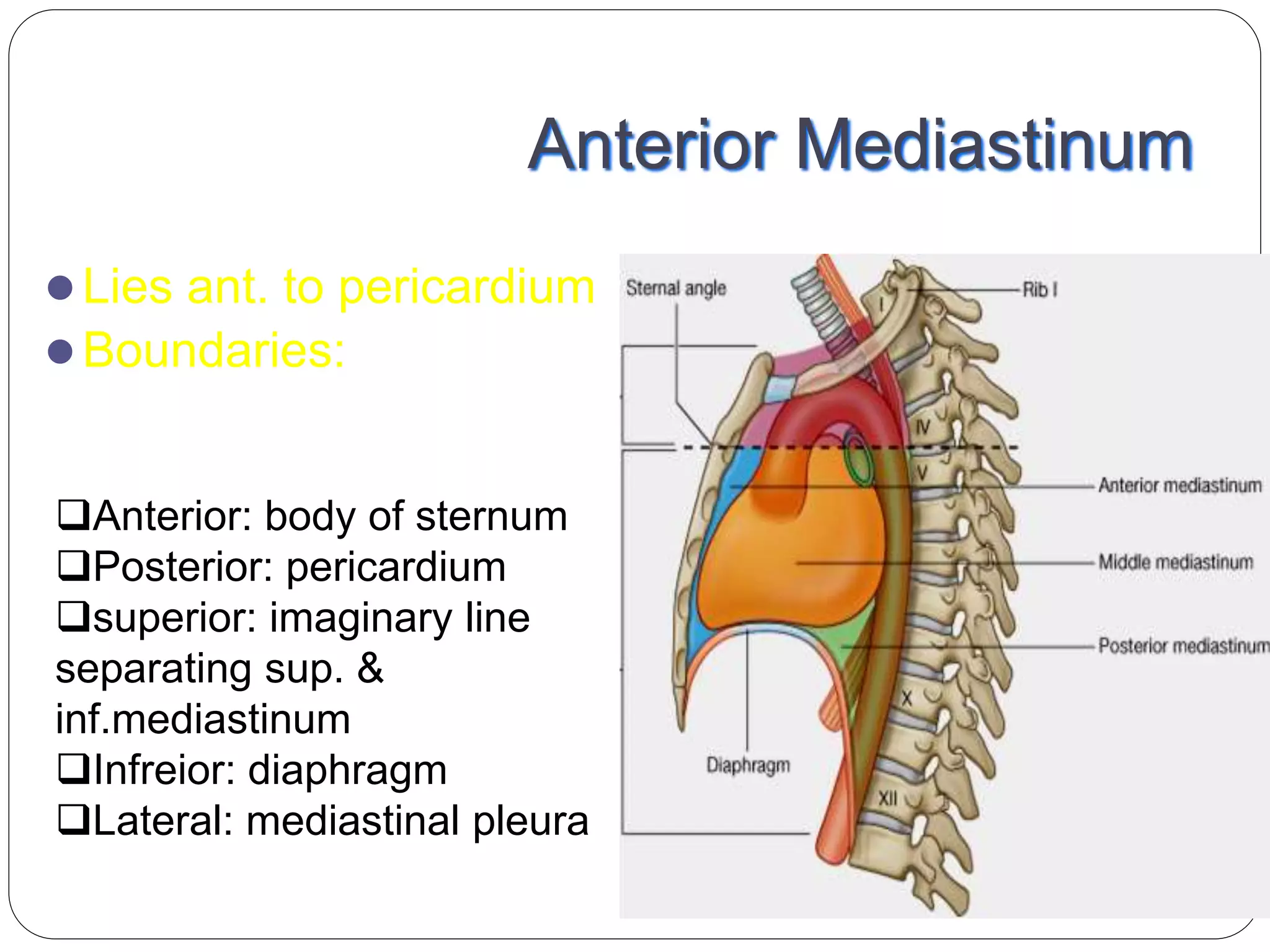 mediastinal imaging and masses | PPTX