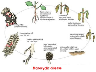 TYPES OF epidemiology | PPTX