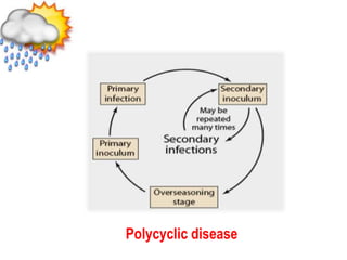 TYPES OF epidemiology | PPTX