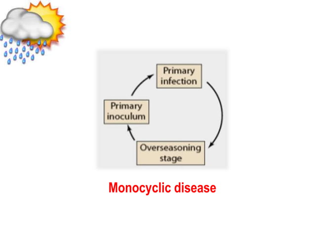 TYPES OF epidemiology | PPTX