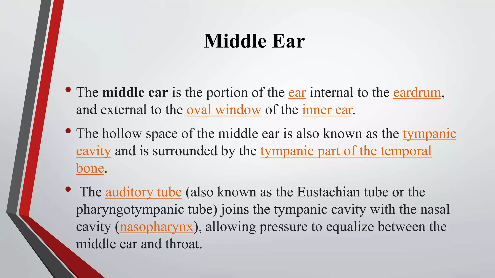Middle Ear Myoclonus(MEM) | PPTX