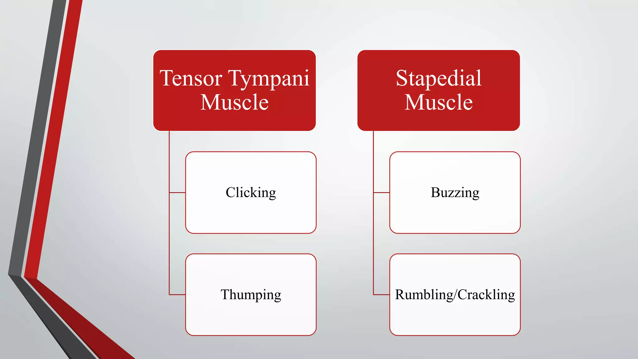 Middle Ear Myoclonus(MEM) | PPTX