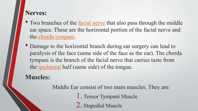 Middle Ear Myoclonus(MEM) | PPTX | Ear, Nose and Throat Conditions ...
