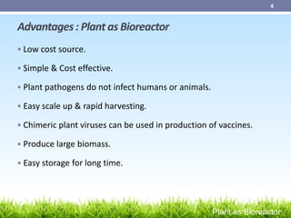 plant as bioreactor | PPTX