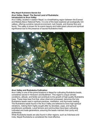 Arun_Valley,_Nepal_The_Sacred_Land_of_Nepali_Rudraksha[1].docx