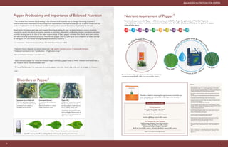 ArunVictuscoffee_pepper.pdf