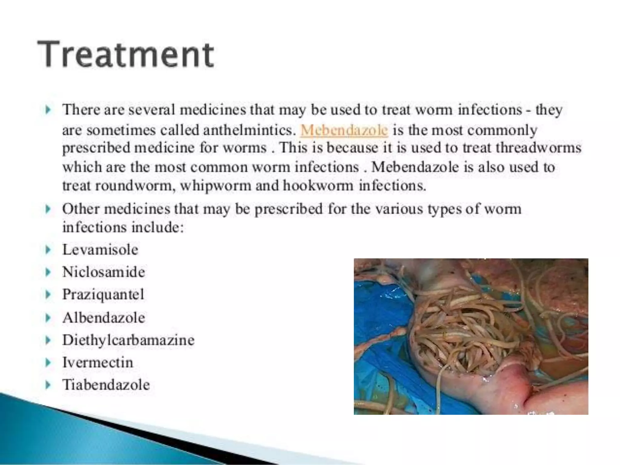 Worm infestation | PPTX | Infectious Diseases | Diseases and Conditions