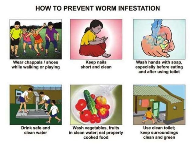 Worm infestation | PPTX | Infectious Diseases | Diseases and Conditions