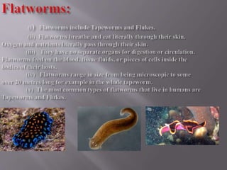 Worm infestation | PPTX