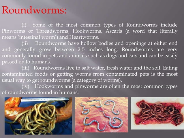 Worm infestation | PPTX | Infectious Diseases | Diseases and Conditions