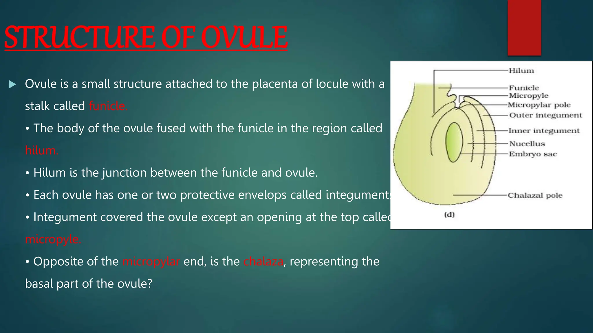 ARUSH DHAWAL PPT11 SEXUAL.pptx