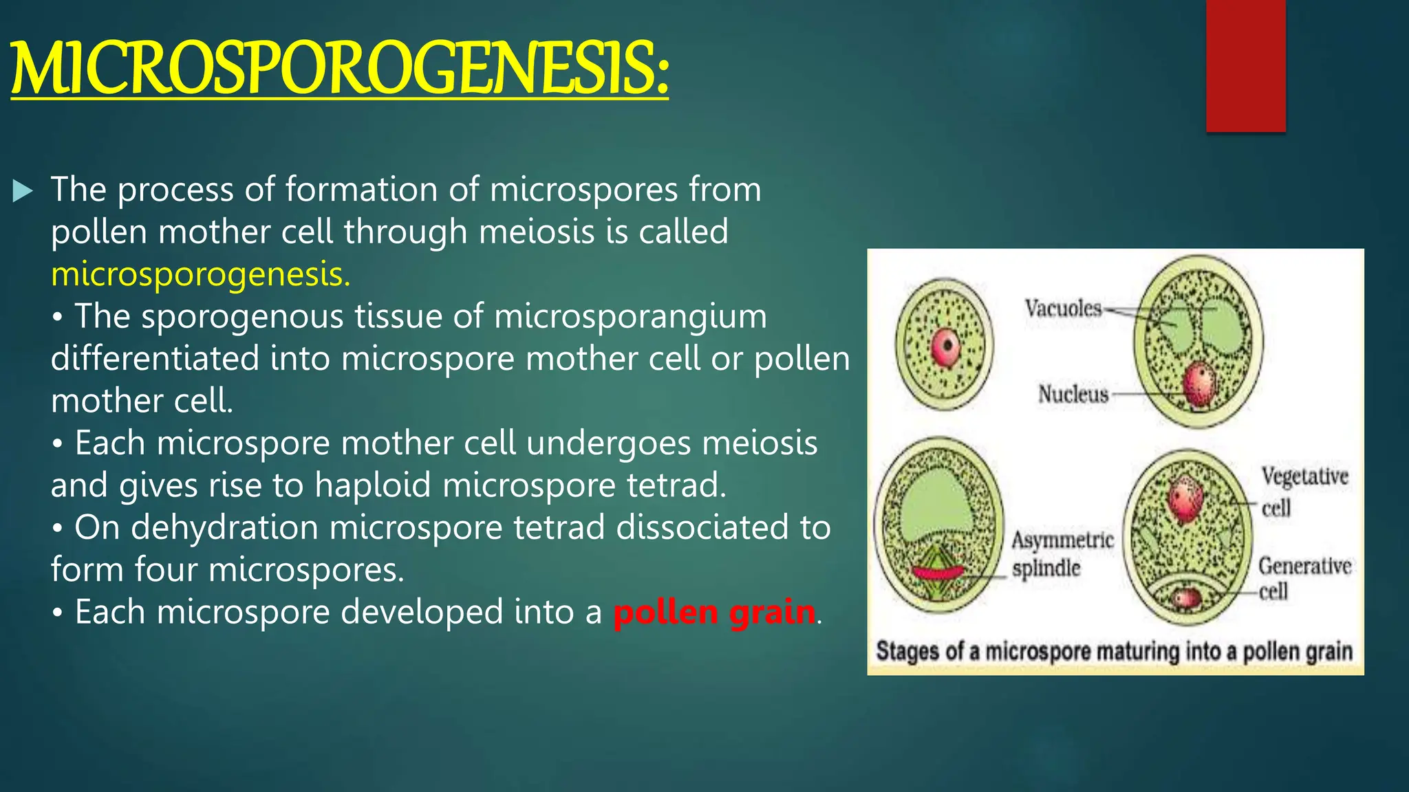 ARUSH DHAWAL PPT11 SEXUAL.pptx