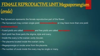 ARUSH DHAWAL PPT11 SEXUAL.pptx