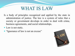 sources of law , manager and legal system | PPTX