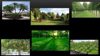 Components and Adornments of Garden with full explanation | PPTX