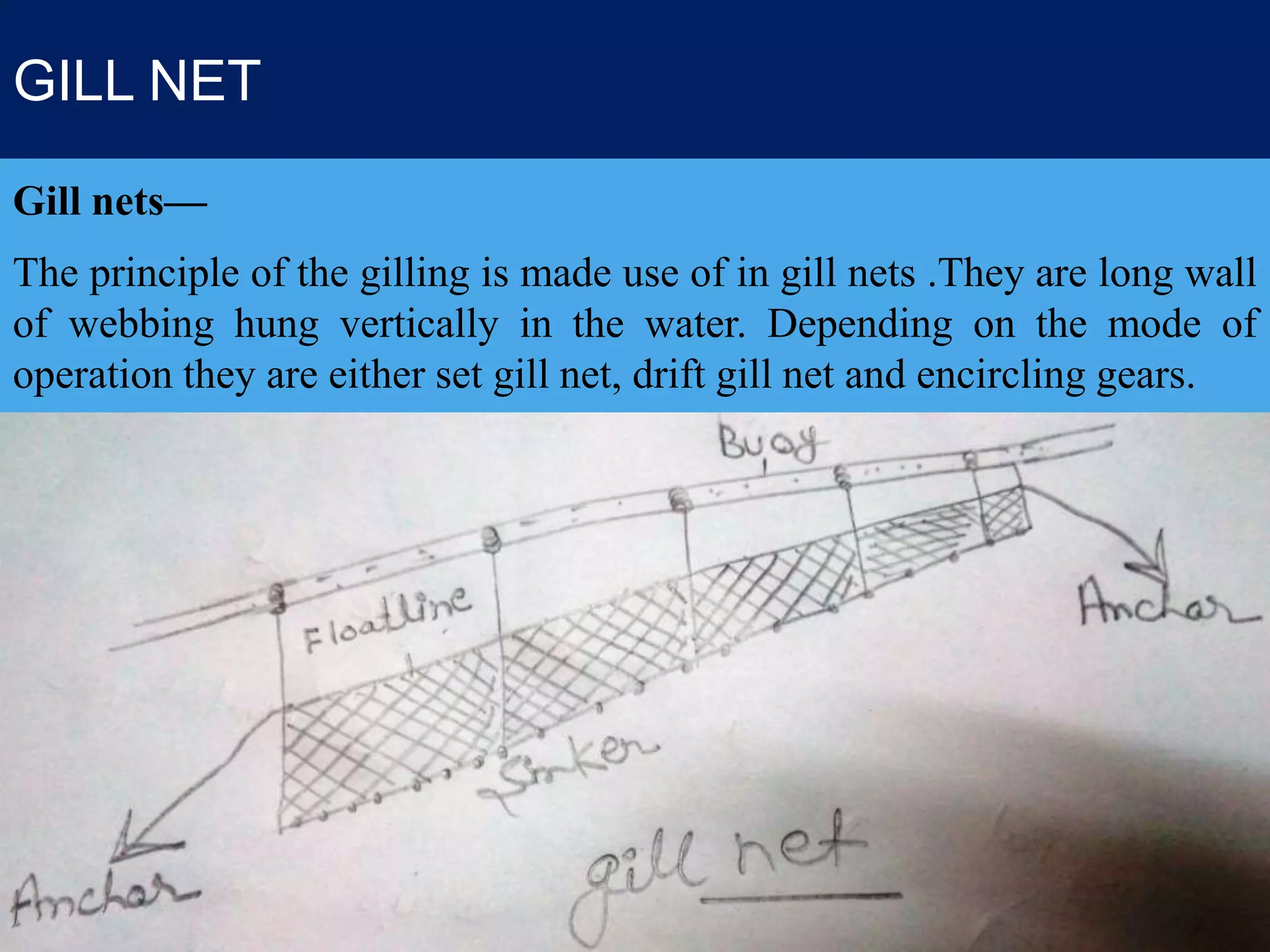 CLASSIFICATION OF FISHING GEAR | PPTX