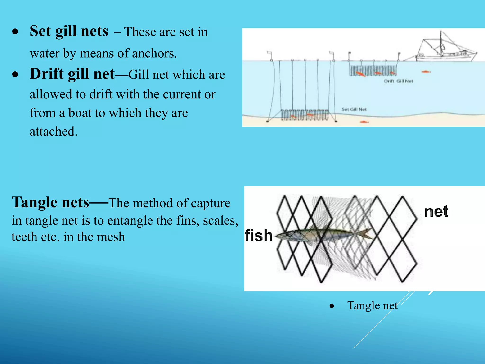 CLASSIFICATION OF FISHING GEAR | PPTX