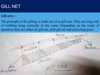 CLASSIFICATION OF FISHING GEAR | PPTX