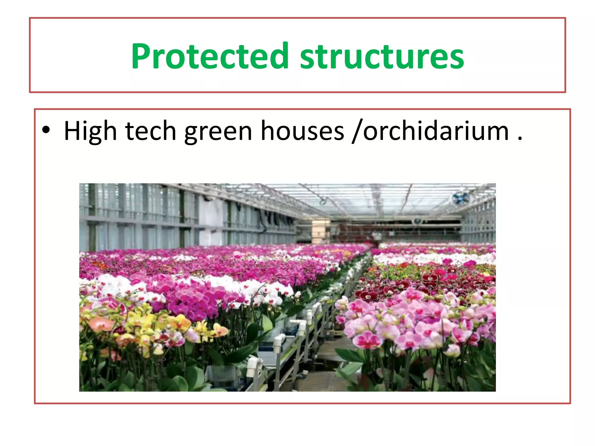protected cultivation of orchid and dendrobium | PPTX