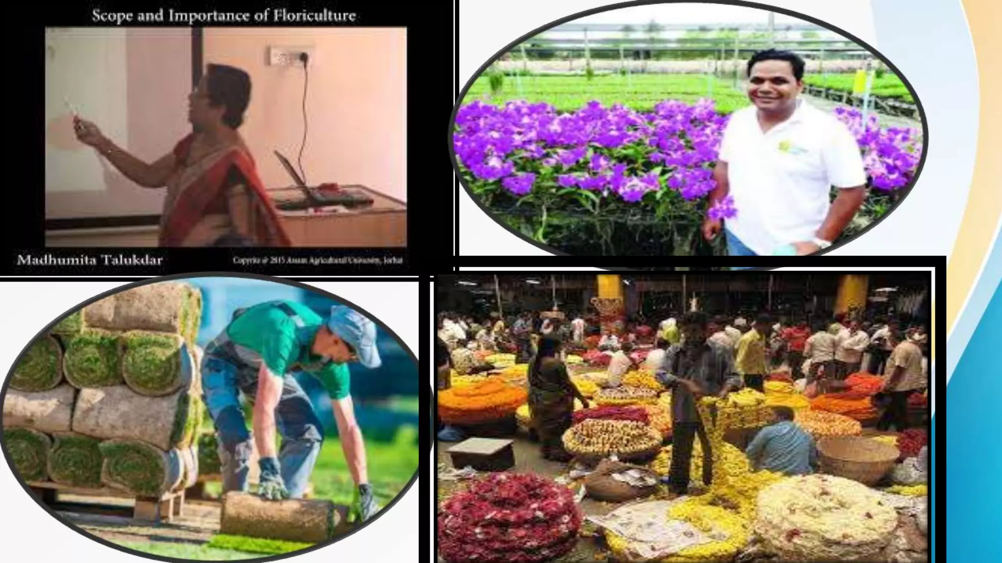 importance scope and bottle necks of floriculture industry in india | PPTX