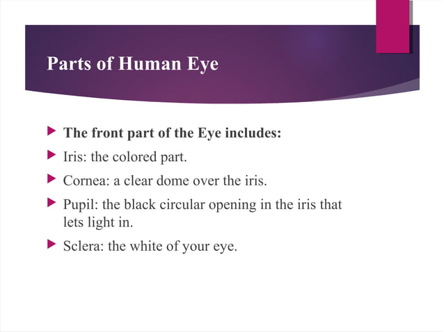 Structure and Function of the Eye | PPT | Eye and Vision Conditions ...