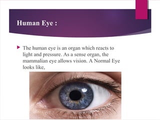 Main Functions Of The Eye