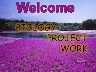 11th-strl organisation by Arya | PPT