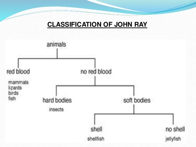 Power Point Presentation on Milestones in Classification
