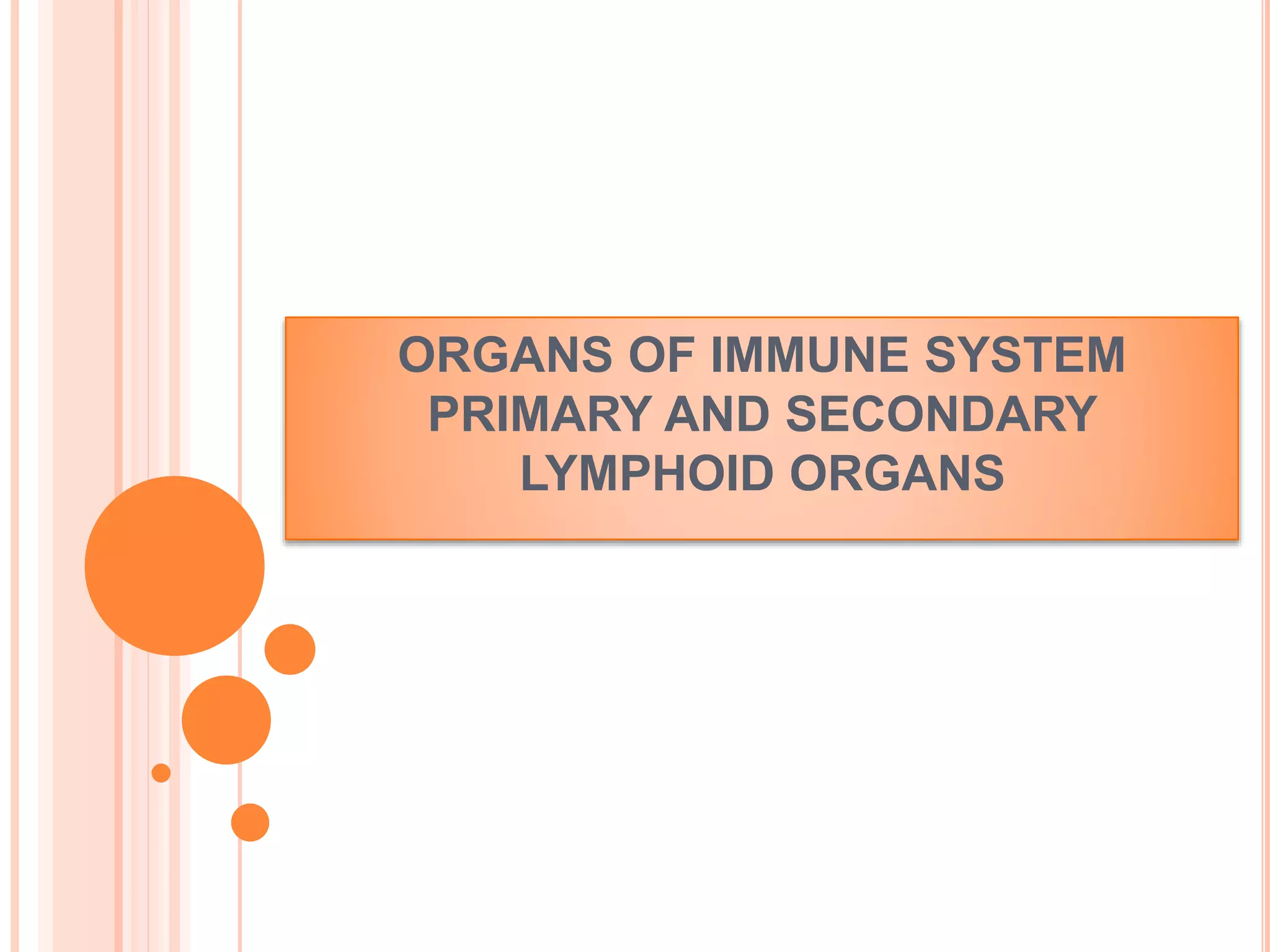 ORGANS OF IMMUNE SYSTEM PRIMARY AND SECONDARY LYMPHOID ORGANS | PPTX