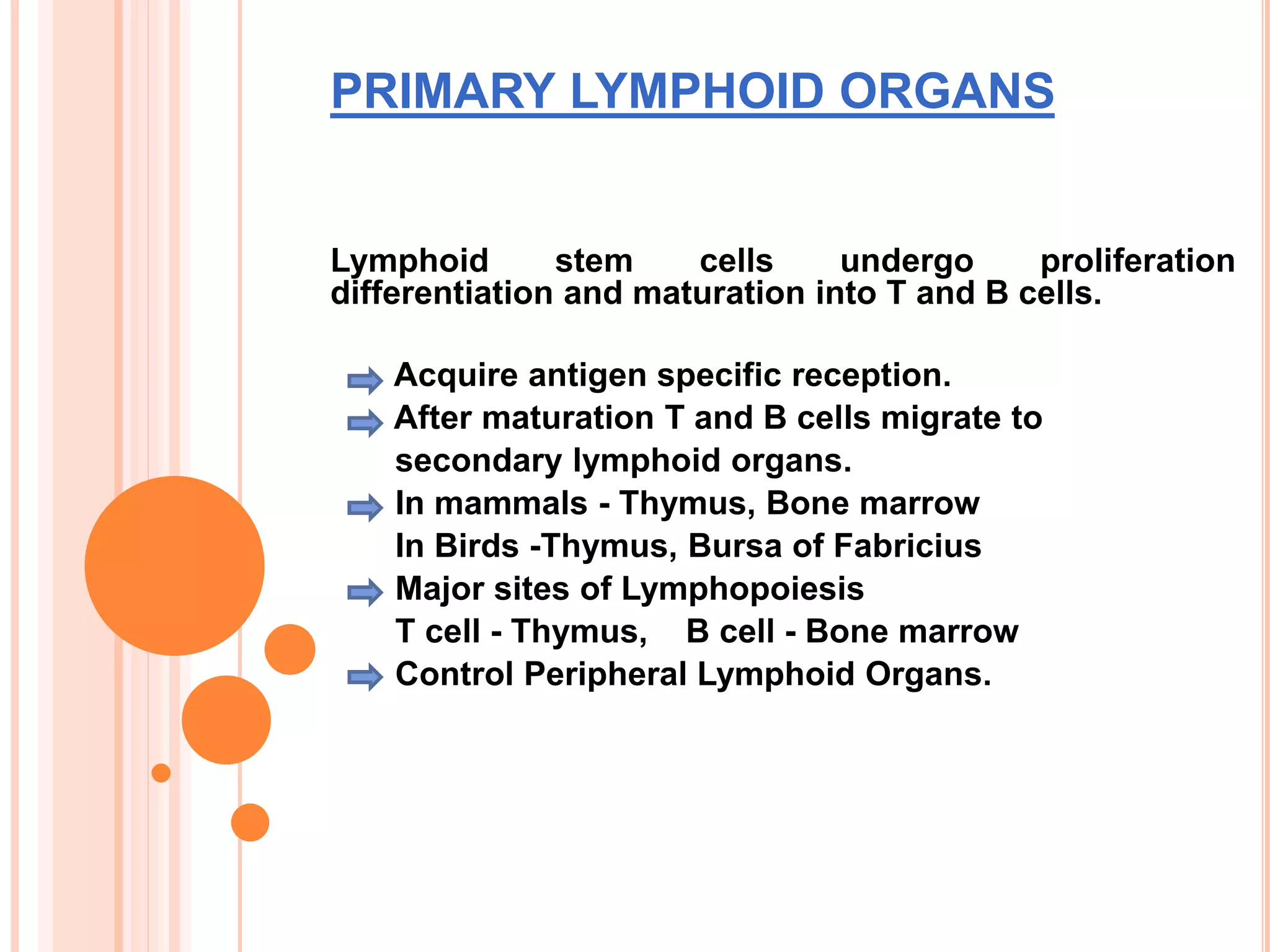 ORGANS OF IMMUNE SYSTEM PRIMARY AND SECONDARY LYMPHOID ORGANS | PPTX