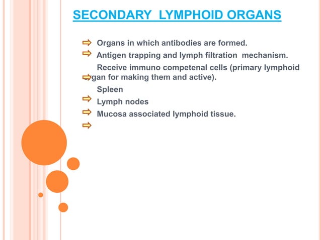 ORGANS OF IMMUNE SYSTEM PRIMARY AND SECONDARY LYMPHOID ORGANS | PPTX