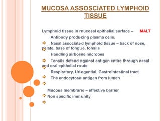 ORGANS OF IMMUNE SYSTEM PRIMARY AND SECONDARY LYMPHOID ORGANS | PPTX