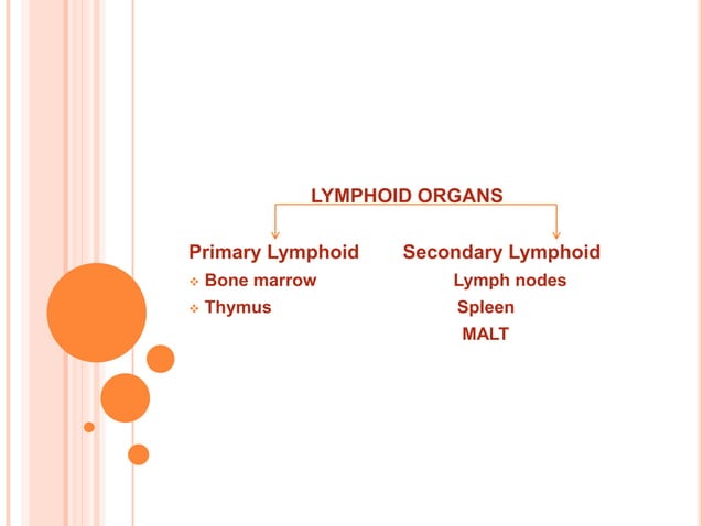 ORGANS OF IMMUNE SYSTEM PRIMARY AND SECONDARY LYMPHOID ORGANS | PPTX