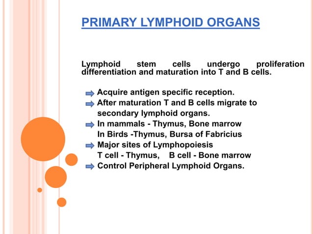 ORGANS OF IMMUNE SYSTEM PRIMARY AND SECONDARY LYMPHOID ORGANS | PPTX