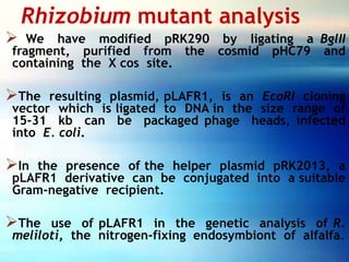 Arya vectors-150104220041-conversion-gate01 | PPT