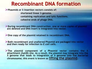Arya vectors-150104220041-conversion-gate01 | PPT