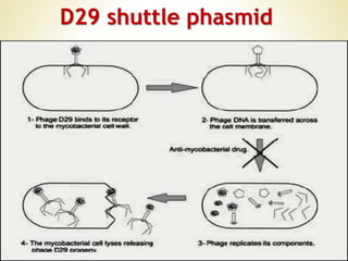 Arya vectors-150104220041-conversion-gate01 | PPT