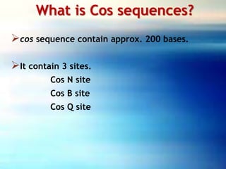 Arya vectors-150104220041-conversion-gate01 | PPT