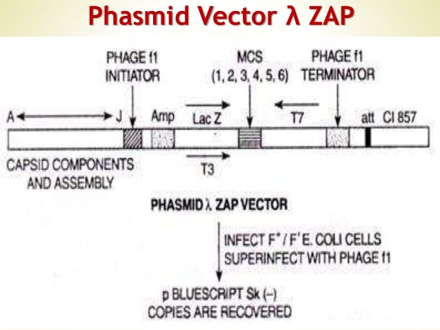 Arya vectors-150104220041-conversion-gate01