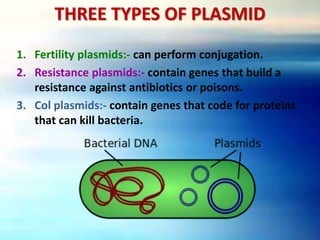 Molecular Cloning - Vectors: Types & Characteristics | PPTX