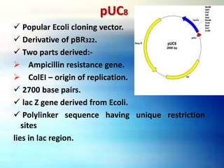 Molecular Cloning - Vectors: Types & Characteristics | PPTX